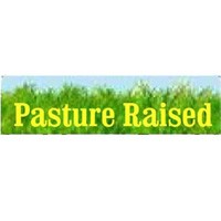 Egg Carton Labels Guide - How to Read Egg Cartons